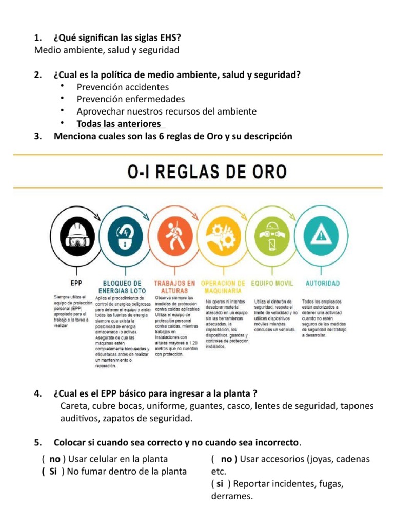 Normas EHS y Seguridad en Planta | PDF | Ciencias de la Salud