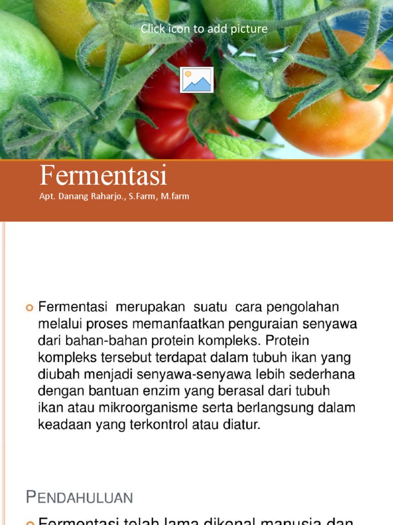 Ferment As I | PDF