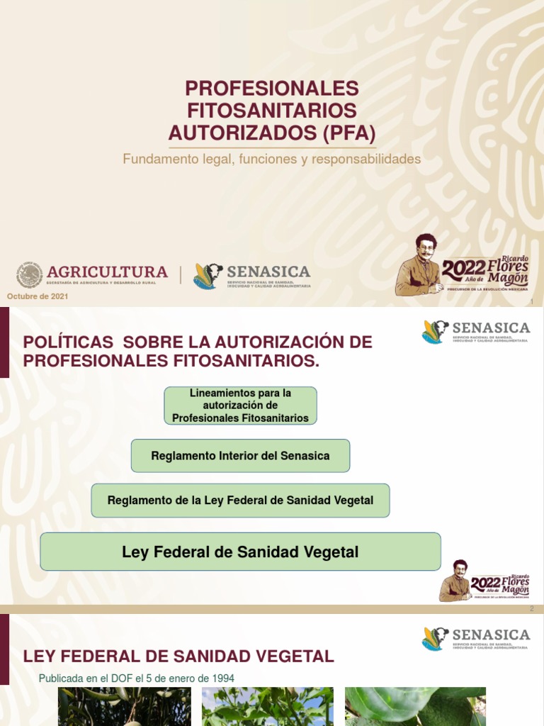 Fundamento Legal Pfa 2022 | PDF
