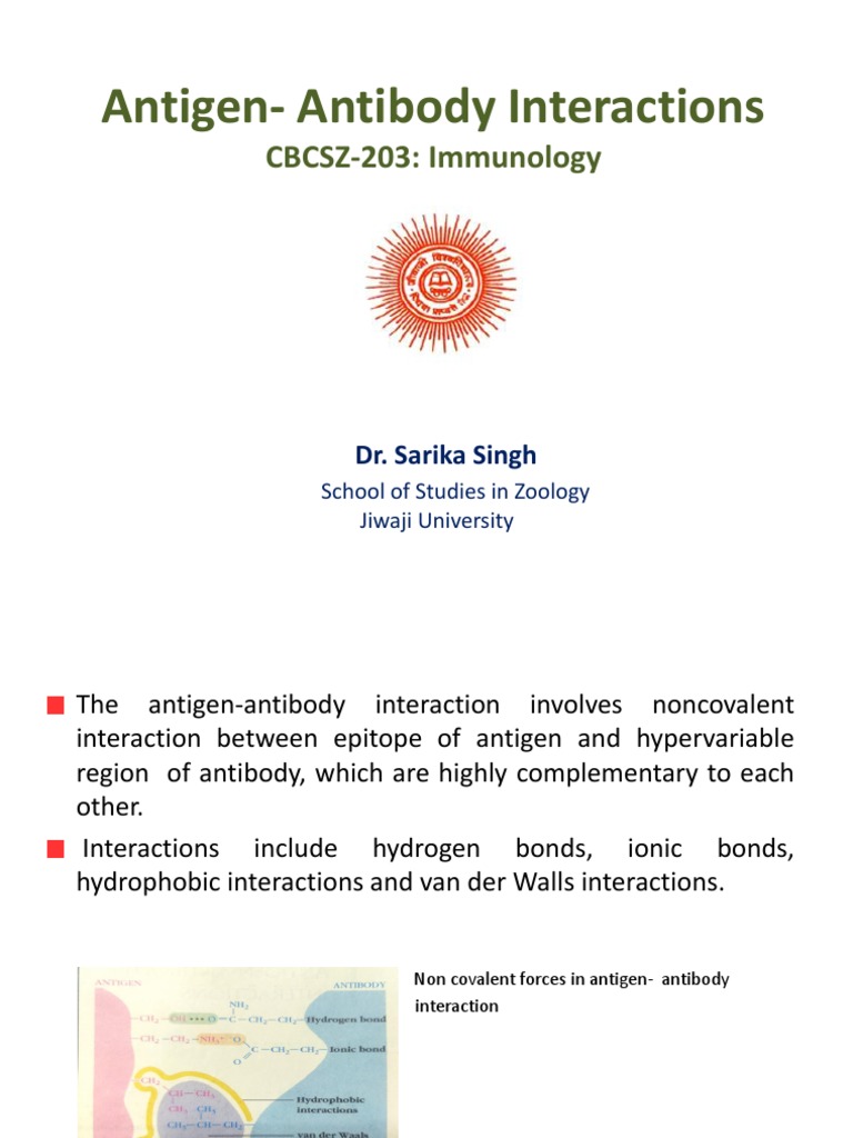 Antigen-Antibody Interaction Overview | PDF | Elisa | Antibody
