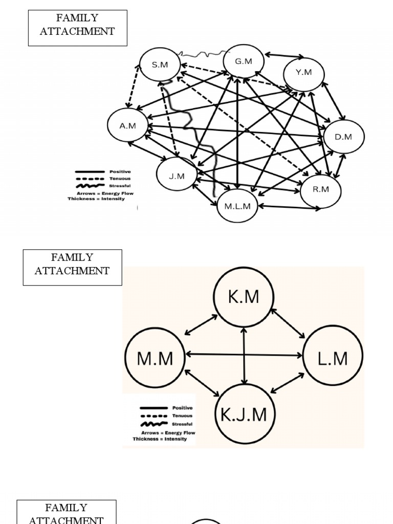 Family Attachment | PDF