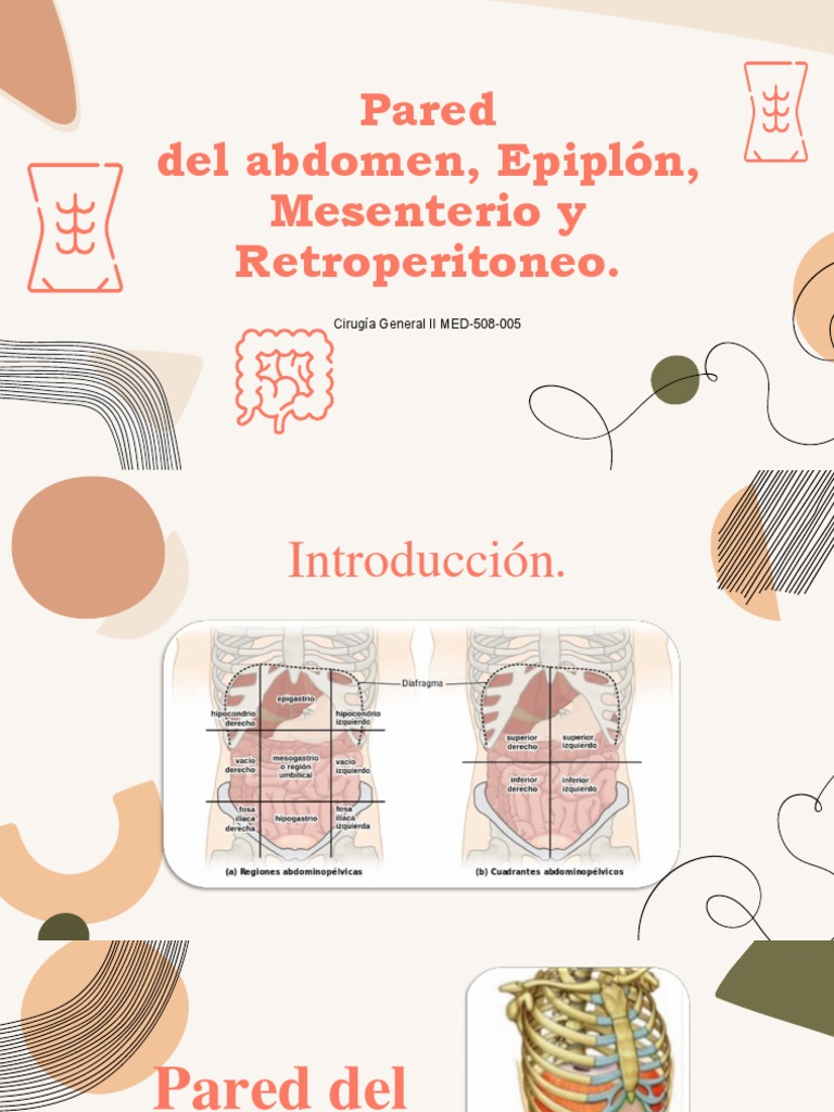 Epiplón, Mesenterio, Retroperitoneo DIAPOSITIVA | PDF | Abdomen ...