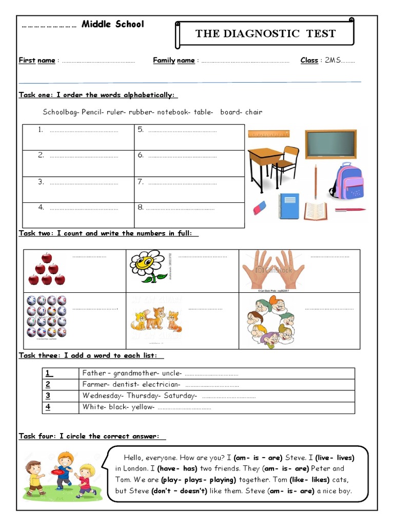 2MS - The Diagnostic Test 2018-2019 | PDF