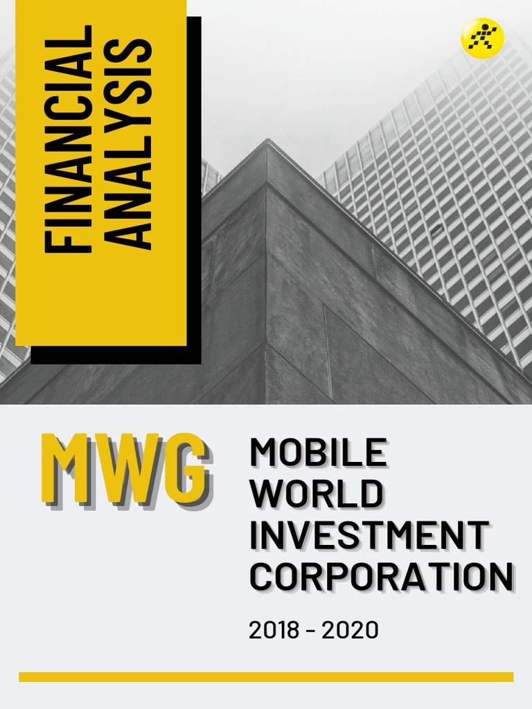 Financial Analysis of MWG's Balance Sheet and Income Statement 2018 ...