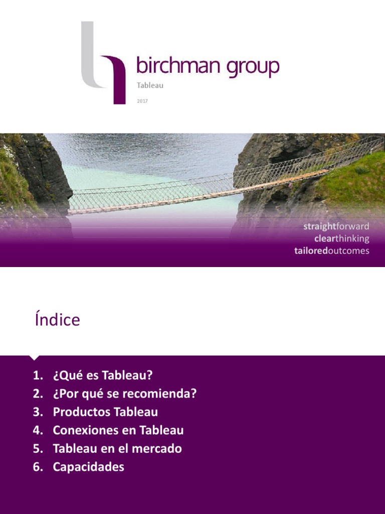 Birchman Group Tableau Software | PDF | Gestión de la información | Datos