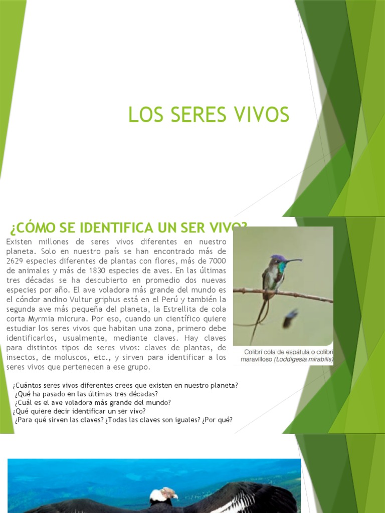 Los Seres Vivos | PDF