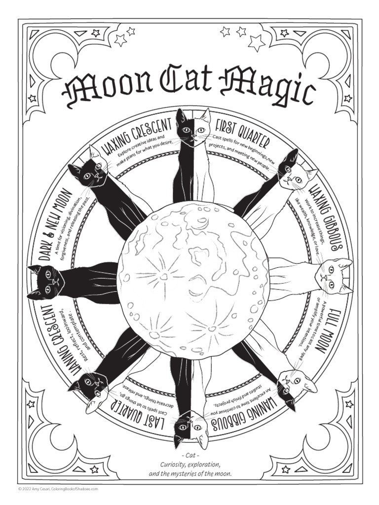 2023 Planner Cat Outtakes | PDF