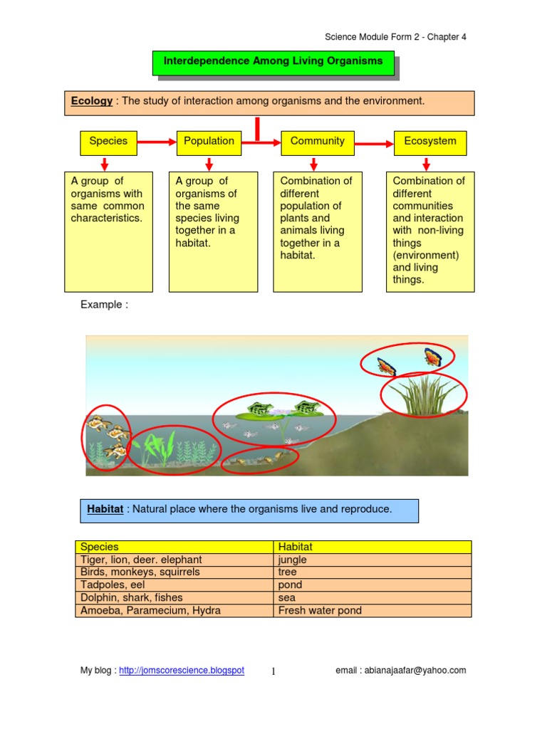 Chapter 4 Interdependence Organisms | PDF | Photosynthesis | Predation