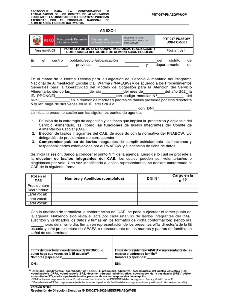 ANEXO 1 - Formato de Acta de Conformación-Actualización y Compromiso Del CAE - V9 | PDF ...