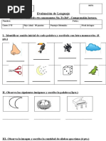 PRUEBA LETRAS T, D, N - 1° Basico | PDF