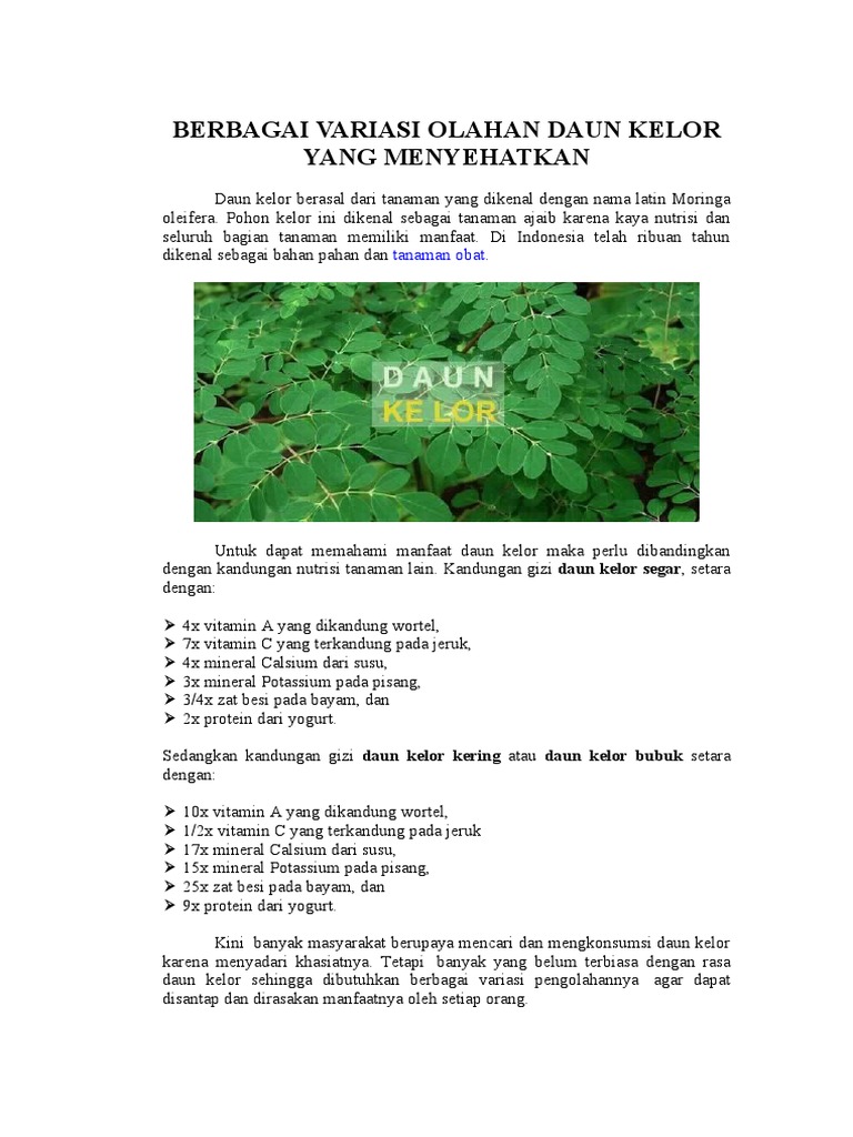 Olahan Daun Kelor | PDF