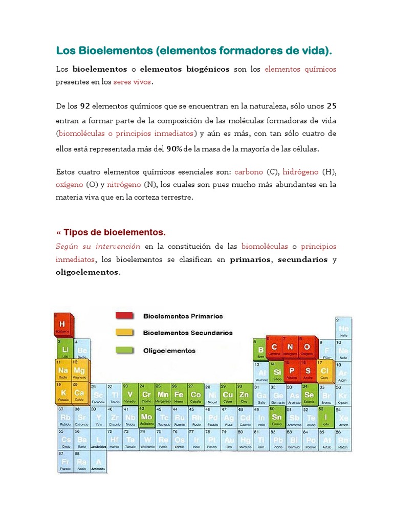 Los Bioelementos | PDF | Biomoléculas | Química