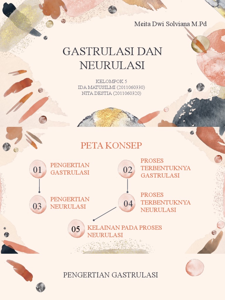 Embriologi Kel5-1 | PDF