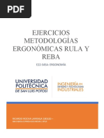 Método Reba Ejercicio | PDF