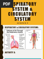 Grade 9 Respiratory System Activities | PDF | Respiratory Tract ...
