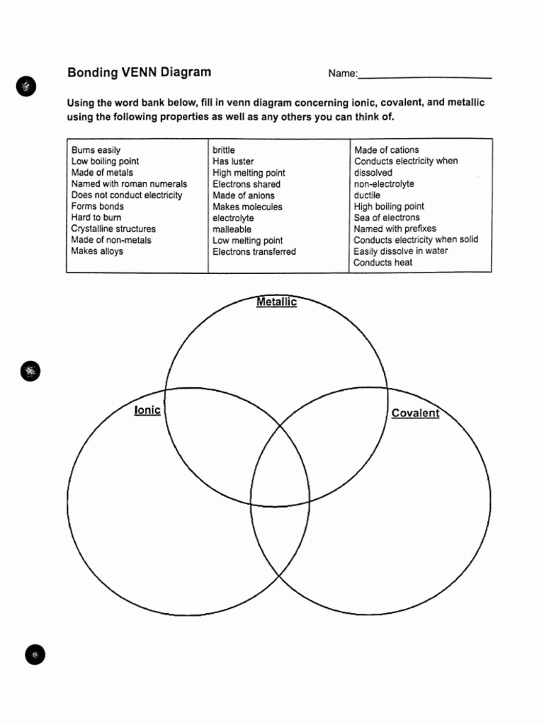 Come Together Webquest Worksheets | PDF