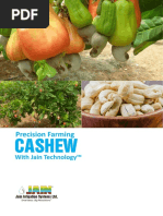 DLP-Performance Task - 1 | PDF | Learning | Lesson Plan