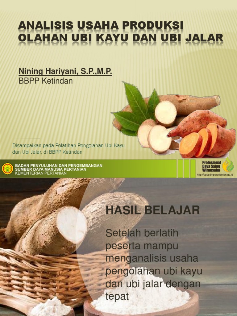 Analisis Usaha Olahan Ubi | PDF | Bisnis | Pengelolaan Keuangan & Uang