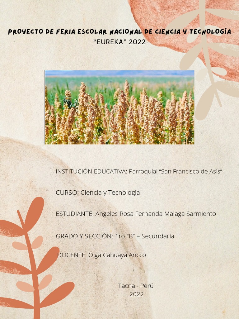 Proyecto de Feria Escolar Nacional de Ciencia y Tecnología "Eureka ...