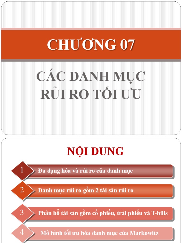 C07 - Optimal Risky Portfolios | PDF