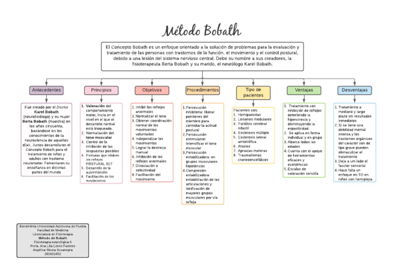 Mapa Conceptual Bobath | PDF | Medicina CLINICA | Cuidado de la salud