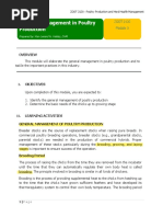 Broilers Production Training Module | PDF | Broiler | Diarrhea