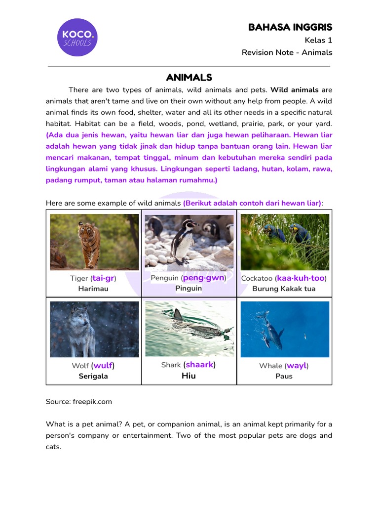 Revision Note Bahasa Inggris Kelas 1 Animals | PDF