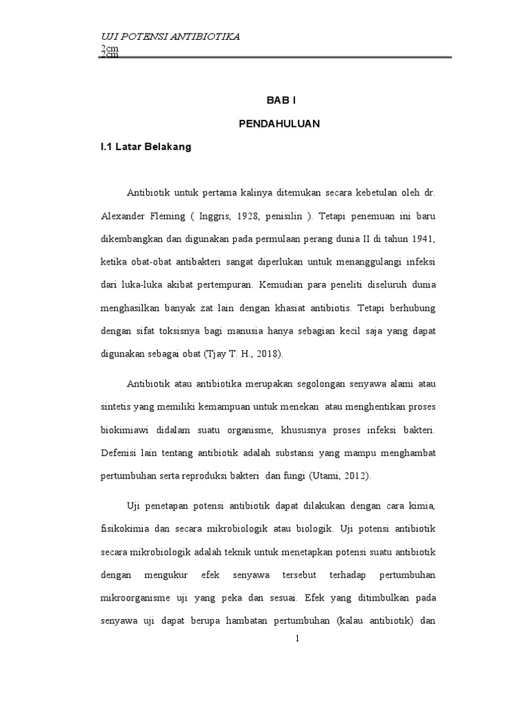 LAPRAK 6 Uji Potensi Antibiotika | PDF