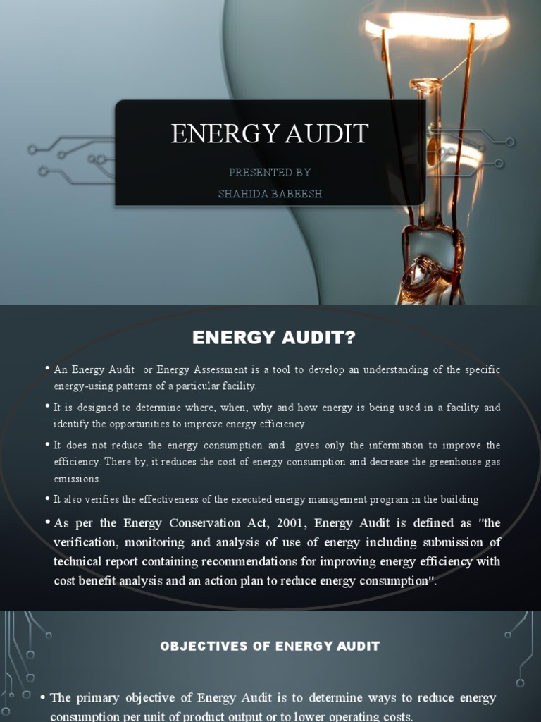 Understanding Energy Audits: Insights into Identifying Opportunities to ...