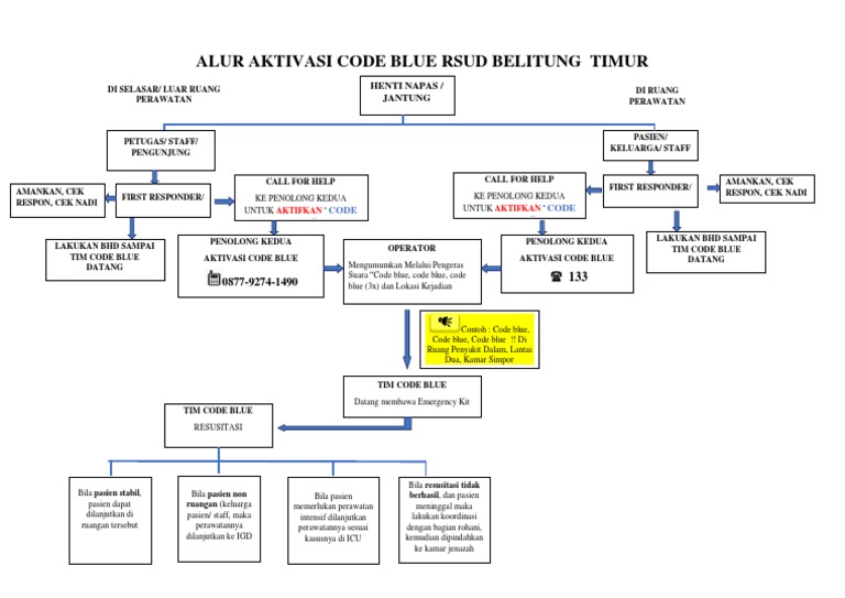 Alur Code Blue Fix | PDF