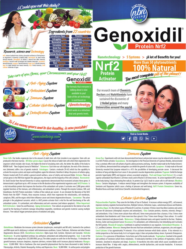 Diptico Genoxidil 2020 Ingles-1 | PDF | Antioxidant | Cancer