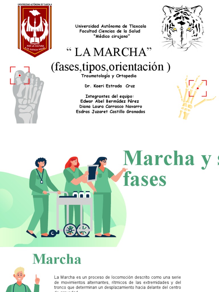 Marchas (Tipos, Fases, Orientacion) | PDF Marchas (Tipos, Fases, Orientacion) | PDF