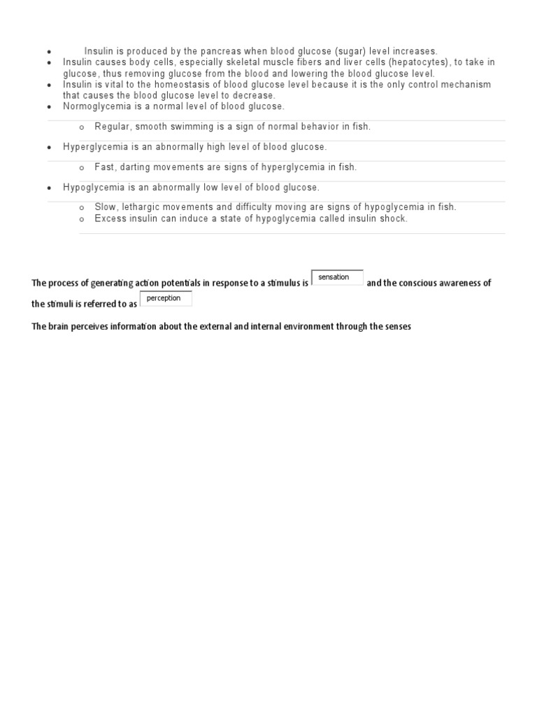 Insulin Is Produced by The Pancreas When Blood Glucose | PDF