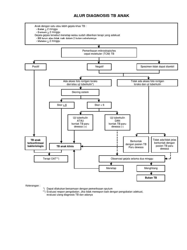 Alur TB Anak | PDF