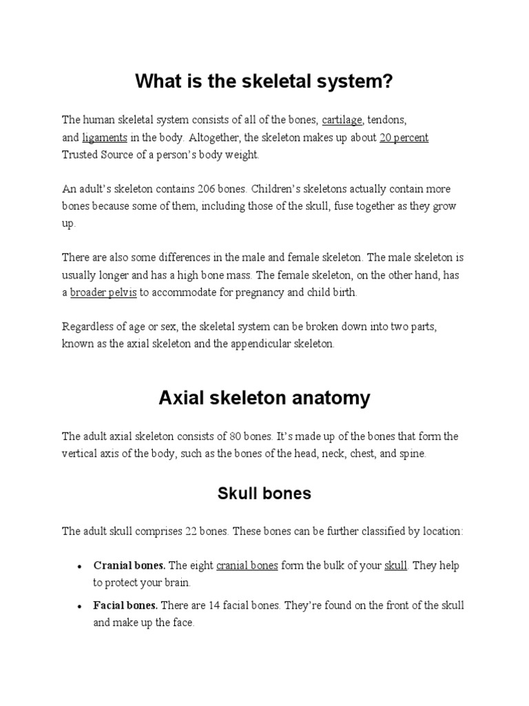 Skeletal System | PDF | Vertebra | Skeleton