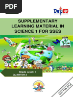 Grade 1 Exam (Science) | PDF | Root | Plants