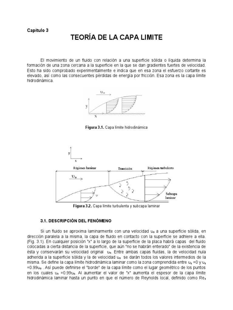 Cap 3 | PDF | Dinámica de fluidos | Capa límite