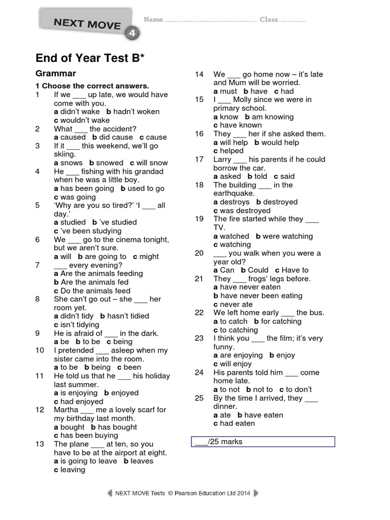 End of Year Grammar and Vocabulary Test | PDF