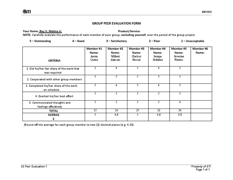 02 Peer Evaluation 1 | PDF
