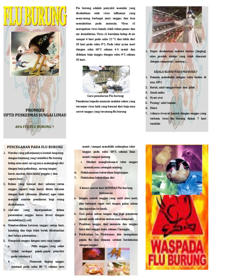 Leaflet Flu Burung | PDF