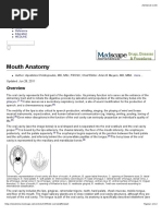 Anatomy of the Oral Cavity | PDF | Tongue | Mouth