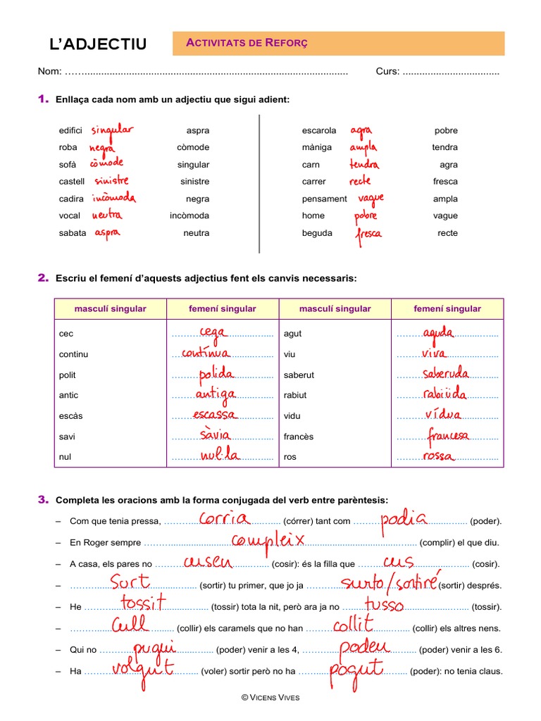 Exercicis Adjectiu Ref I Amp Solucions 2 | PDF