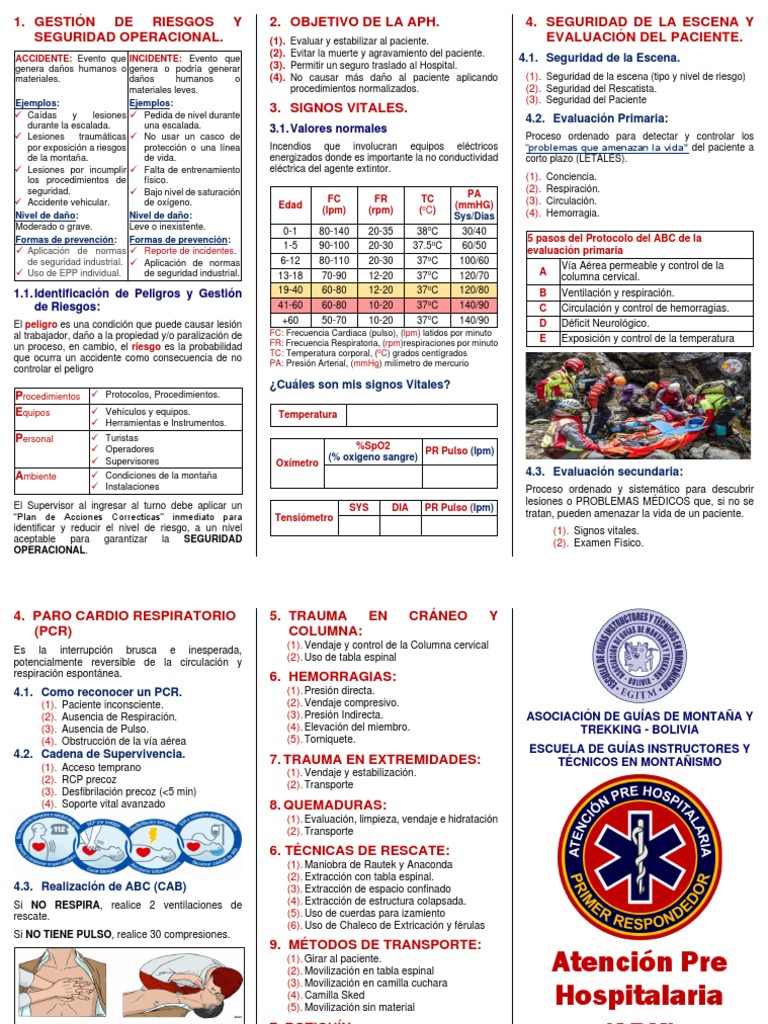 Triptico APH | PDF | Reanimación cardiopulmonar | Ciencias de la Salud