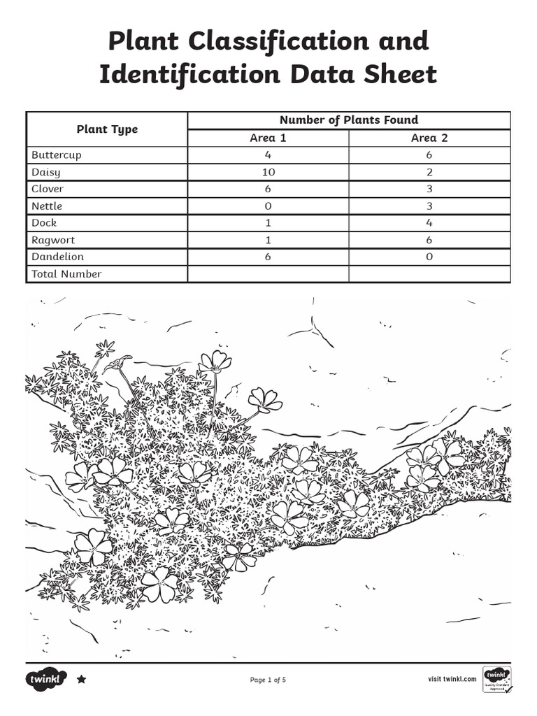 Plant Classification and Identification | PDF | Flowers