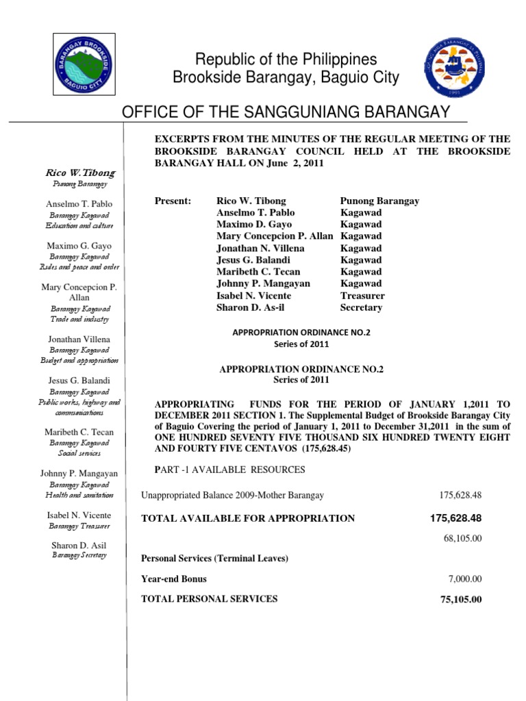 Supplemental Budget of Brookside Barangay City | Government | Politics