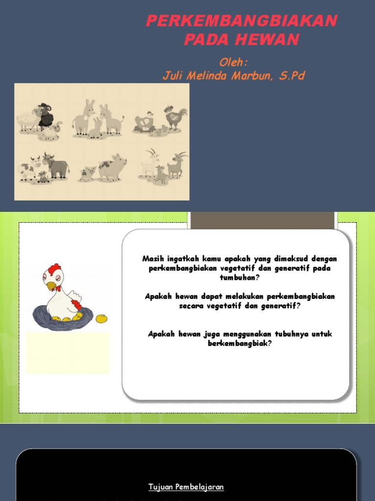 Perkembangbiakan Hewan: Aseksual dan Seksual | PDF | Sains & Matematika