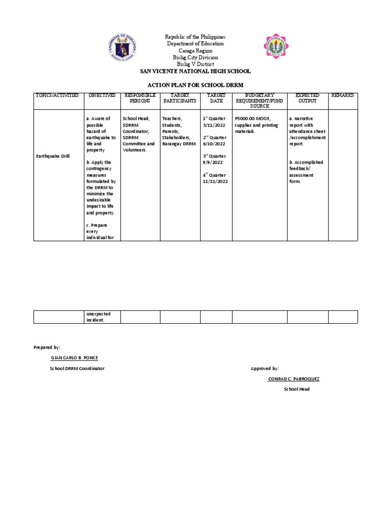 Action Plan in Drmm | PDF