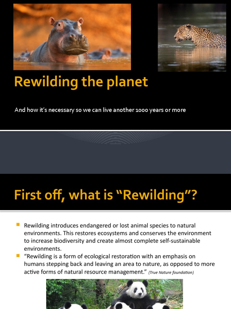 Rewilding The Planet | PDF | Ecosystem | Biodiversity