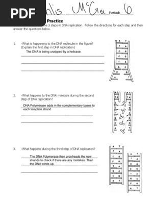 Dna Replication Worksheet Key Chapter 17