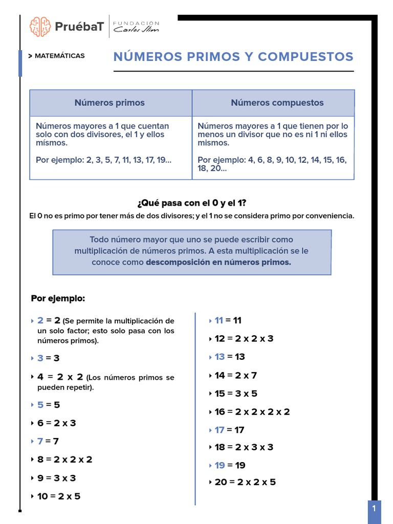 Números Primos y Compuestos: Guía Básica | PDF | Número primo ...
